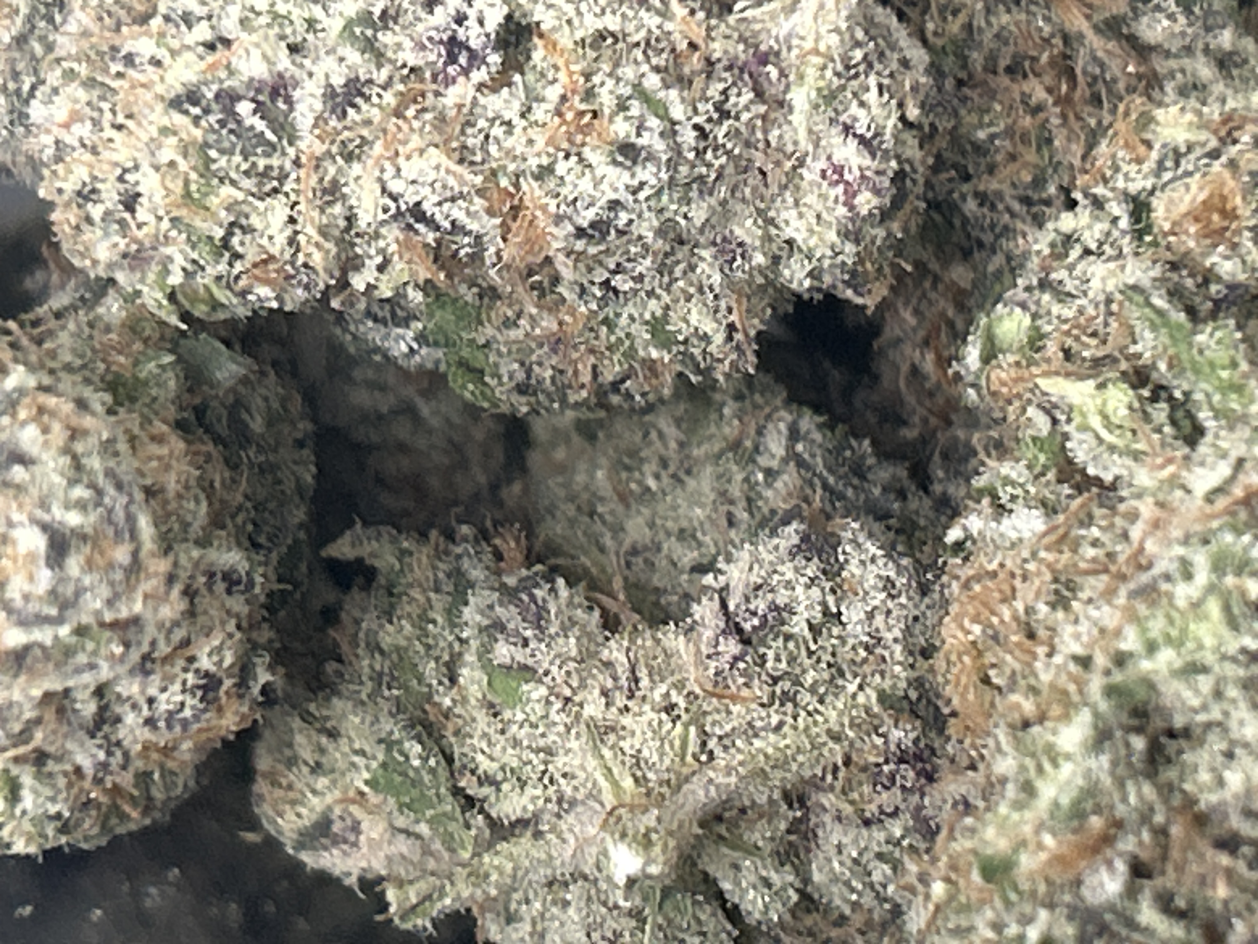 Government Oasis.B2B.47.2023.